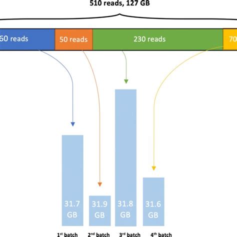 Batch Loading Diagram Nbc Handle Large Dataset By Load A Batchsubset Download Scientific