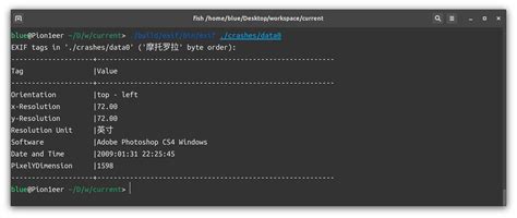 Fuzzing101 2：libexif