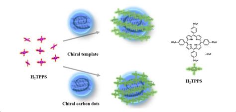 Schematic Representation Of L Cys Cdots Acting As Chiral Template