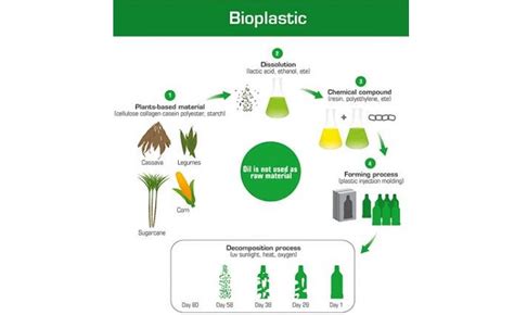 미국 친환경 포장재 이제는 선택이 아닌 필수 Today 여기에뉴스