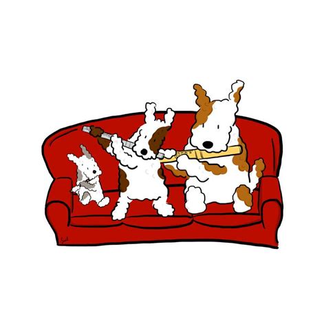 Sofa Southern Ontario Flute Assembly Waterloo On