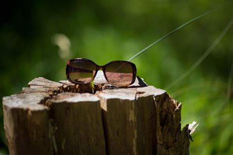 Premium Photo Close Up Of Grasshopper On Wooden Post