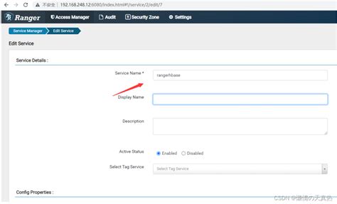 hadoop ranger kerberos页面权限配置（四） ranger web 界面配置hdfs csdn博客