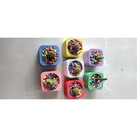 Jual Pot Mini Kaktus Warna Pot Kecil Pot Mini Pot Semen Shopee Indonesia