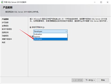 Sqlserver版本升级企业评估版升级至开发者免费版sqlserver 正式版换开发版 Csdn博客