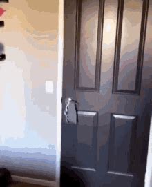 Back Door S Tenor