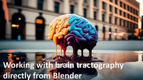 Using Brain Tractography With Nibabel Or Dipy Directly From Blender 3d Neuroscience In B3d