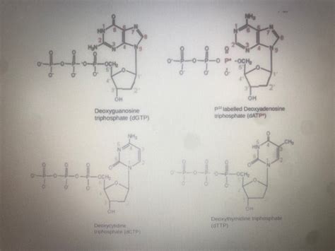 Solved Consider The Sequence Of The Following Segment Of Chegg