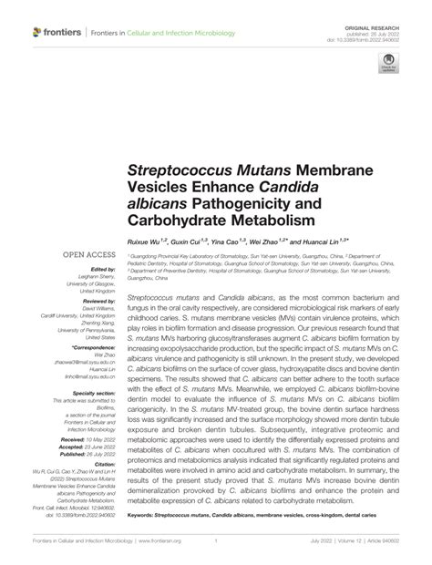 Pdf Streptococcus Mutans Membrane Vesicles Enhance Candida Albicans