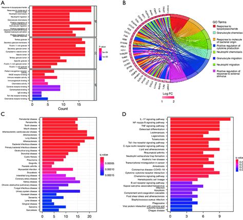 Functional Enrichment Analysis Of Degs A Gene Ontology Enrichment Download Scientific