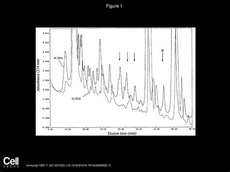 Volume 7 Issue 2 Pages August 1997 Ppt Download