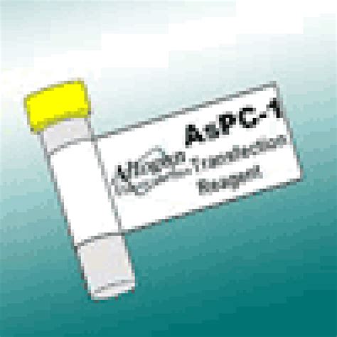 AsPC Transfection Reagent Pancreatic Beta Cells InVivo And Cell Line Transfection Reagents