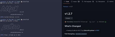 does not properly check latest version · issue 71 · projectdiscovery