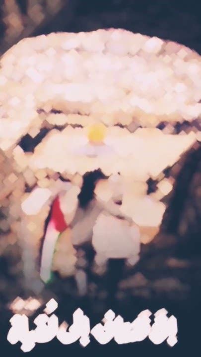 تصميم فلسطين Youtube