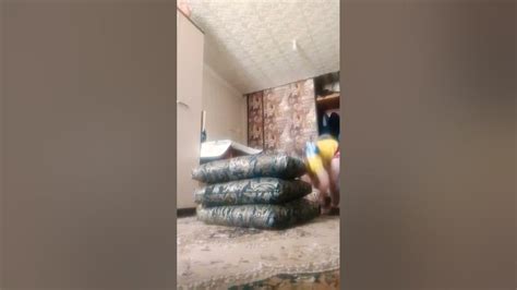 как... КАК!? #квадробика #животное #прыжки #бег #хвост #маска - YouTube