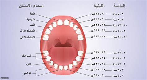 طرق ونصائح للعناية بأسنان الأطفال