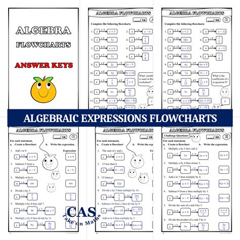 Algebra Flowcharts Represent Algebraic Expressions On Flowcharts Australian Teachers Marketplace