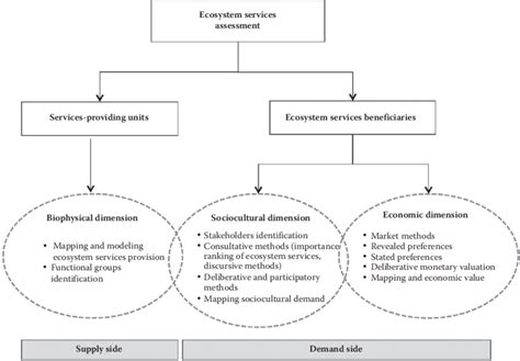1 Conceptual Framework Showing The Links Among Services Providing Units Download Scientific