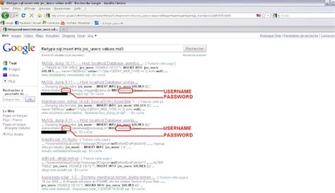 Google Hacking Database Net Effects