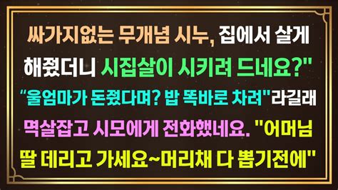 사이다사연 싸가지 없는 무개념 시누집에서살게 해줬더니 시집살이 시키려 하네요울엄마가 돈줬다며밥똑바로해 라길래 시모에게