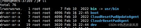 linux ll命令是什么 csdn博客
