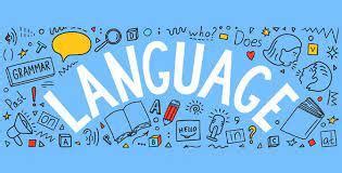 99学语言方法是纯浪费时间，1的秘诀在于三个要素 知乎