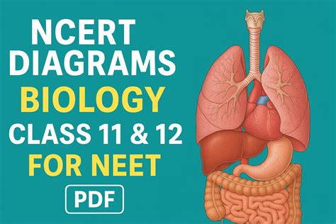 Physics Formula And Important Topics For Neet Class 11 And 12 Pdf
