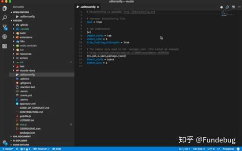 30个极大提高开发效率的vscode插件 知乎