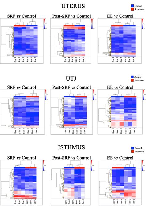 Hierarchical Clustering Of The Differentially Expressed Micrornas Download Scientific Diagram