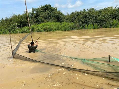 របាំងស្បៃមុង ១៤កន្លែងនៅក្នុងភូមិសាស្ត្រស្រុកកំពង់លែង ត្រូវកម្លាំងខណ្ឌរដ្ឋបាលជលផលខេត្តកំពង់ឆ្នាំង