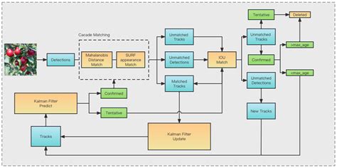 Fruit Detection And Counting In Apple Orchards Based On Improved Yolov7 And Multi Object