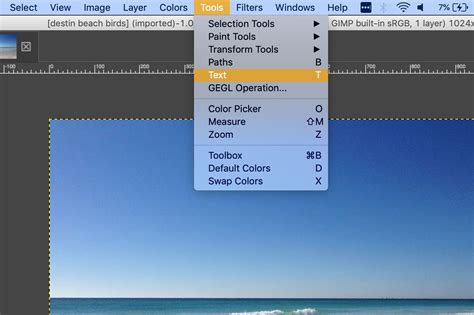 How To Apply A Text Watermark To Photos In GIMP