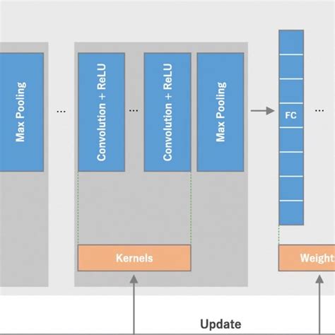 Overview Of The Basic Structure Of A CNN 7 Download Scientific Diagram