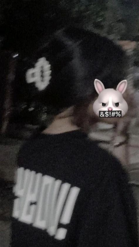 Ghim Của Vân Nguyên Lê Trên Ghim Của Bạn Đang Yêu Gấu Xám Dễ Thương