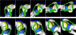 SimTK Full Body Musculoskeletal Model Of The Lumbar Spine Project Home
