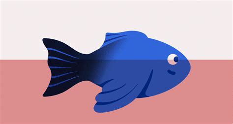 The Vc Playbook For Stopping An Additional Efishery Rumor Asia