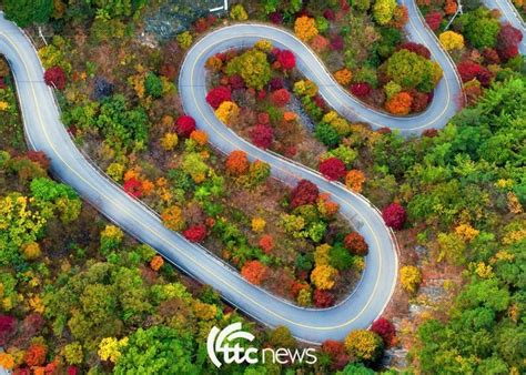 충북 단양 보발재 굽이굽이 단풍 물들어