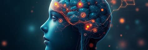 Neural Sequential Model In Education