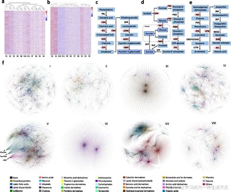多组学研究揭示梨果实代谢中dna甲基化的调控机制 文献精读84 Multi Omics Provide Insights Into The