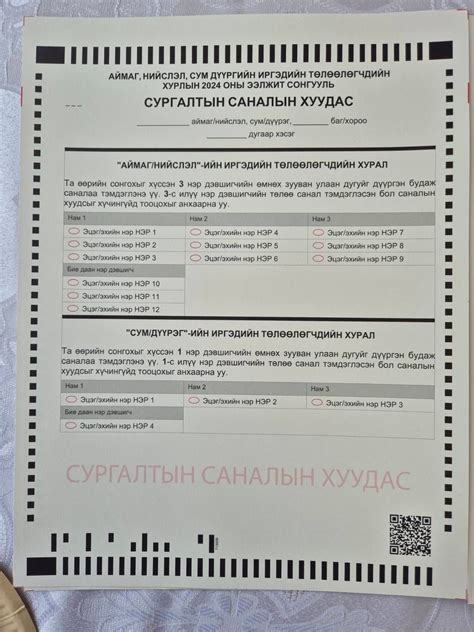 Орон нутгийн сонгуульд хэрхэн санал өгөх вэ