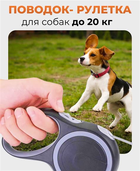 Поводок для собак рулетка для мелких и средних щенков до 20 кг 5