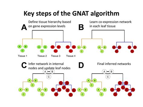 Input Output Hmms For Modeling Network Dynamics Ppt Download