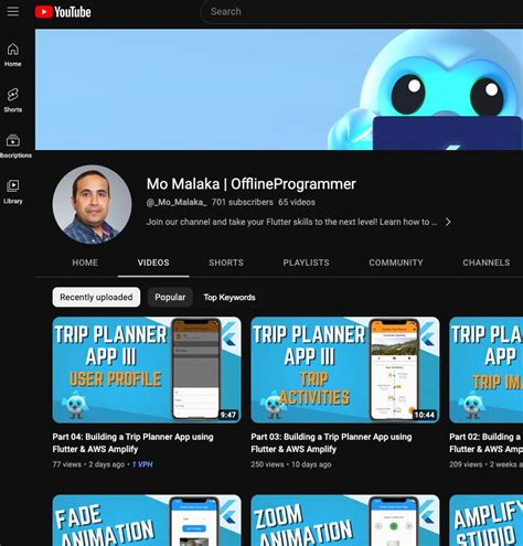 Mo Malaka On Linkedin Flutter