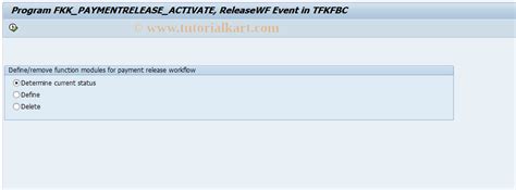 FKK PAYMENTRELEASE SAP Tcode Install Payment Release Workflow