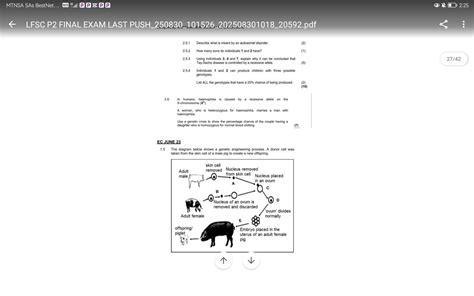 2 5 1 Describe What Is Meant By An Autosomal Disorder 2 5 2 How Many So