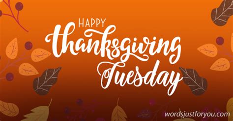 Happy Thanksgiving Tuesday Image 5548