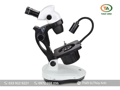 Kính Hiển Vi Soi Nổi Nz1702 Geml Euromex 65x 55x