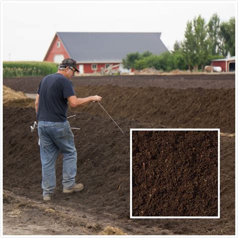 Composting Fermentation Process And Main Factors