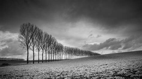 Black And White
