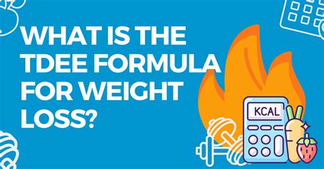 BMR Vs TDEE Body Calculate
